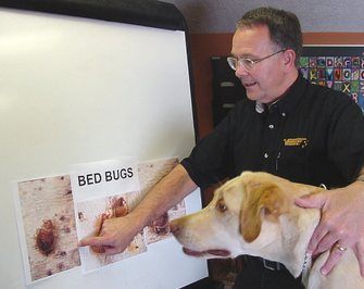 Bed Bug Dog – NYC Bed Bug Manual for New York City and International ...